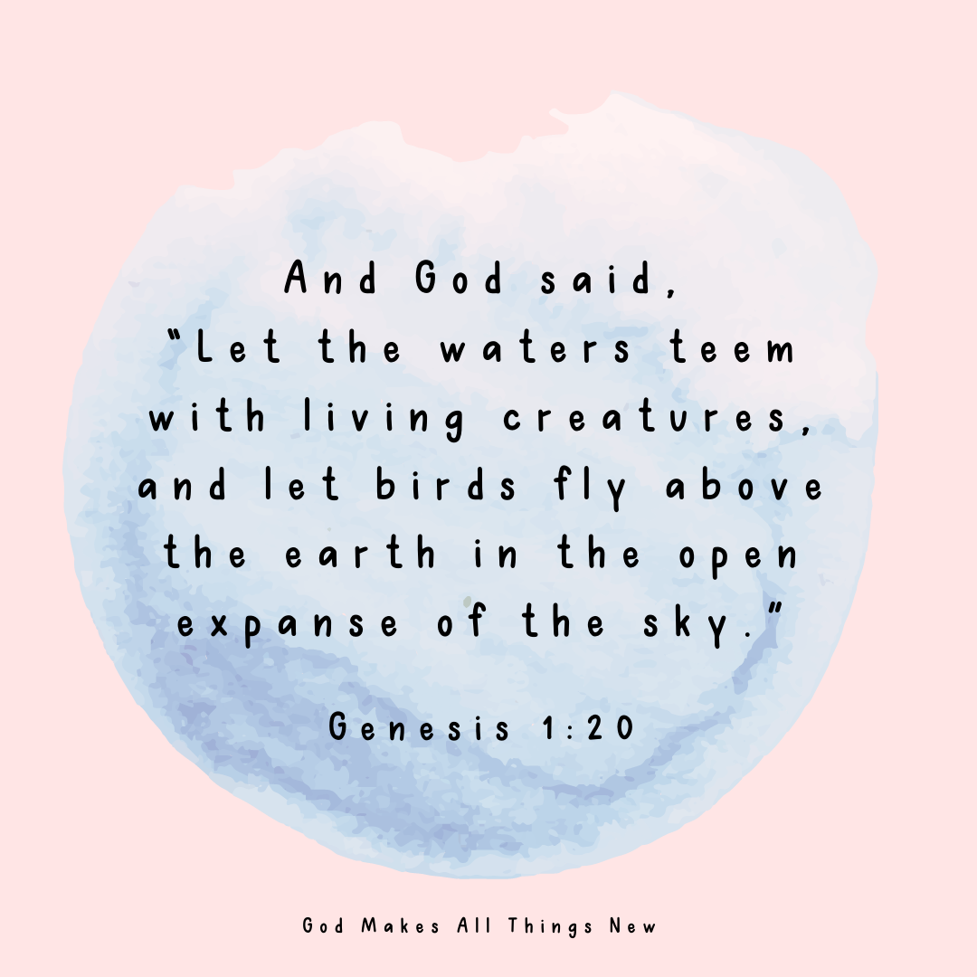 Creation Day 5 – God Makes All Things New